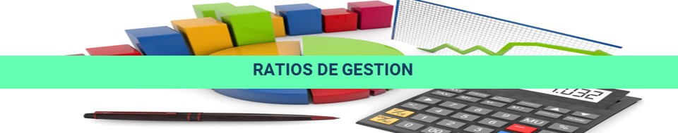 Ratios de gestión - Asesoría Montijano